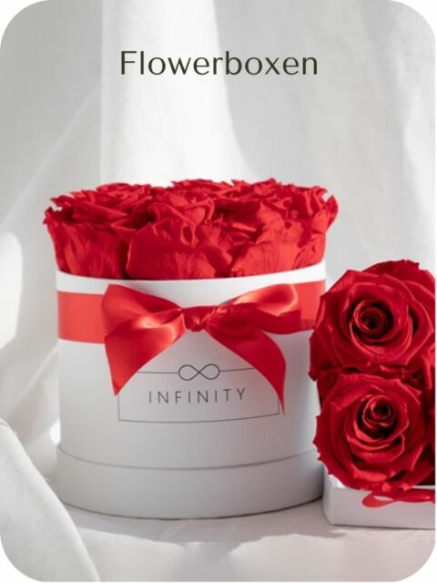 Infinity Flowerbox Onlineshop | Rosen die 3 Jahre halten